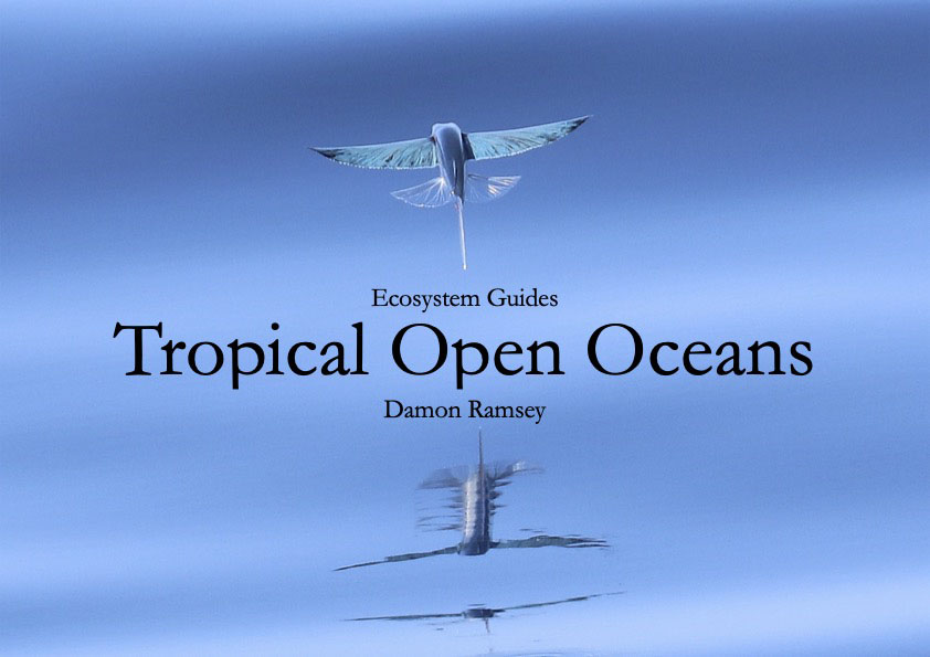 TROPICAL Open Ocean